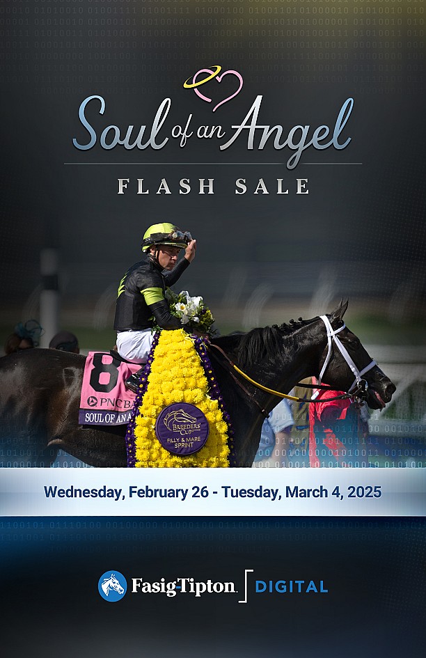 Soul of an Angel Flash Sale