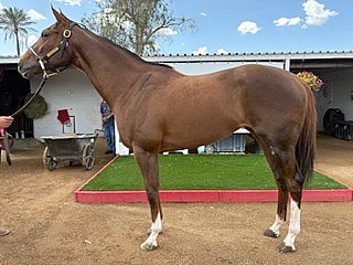 Flame Mcgoon