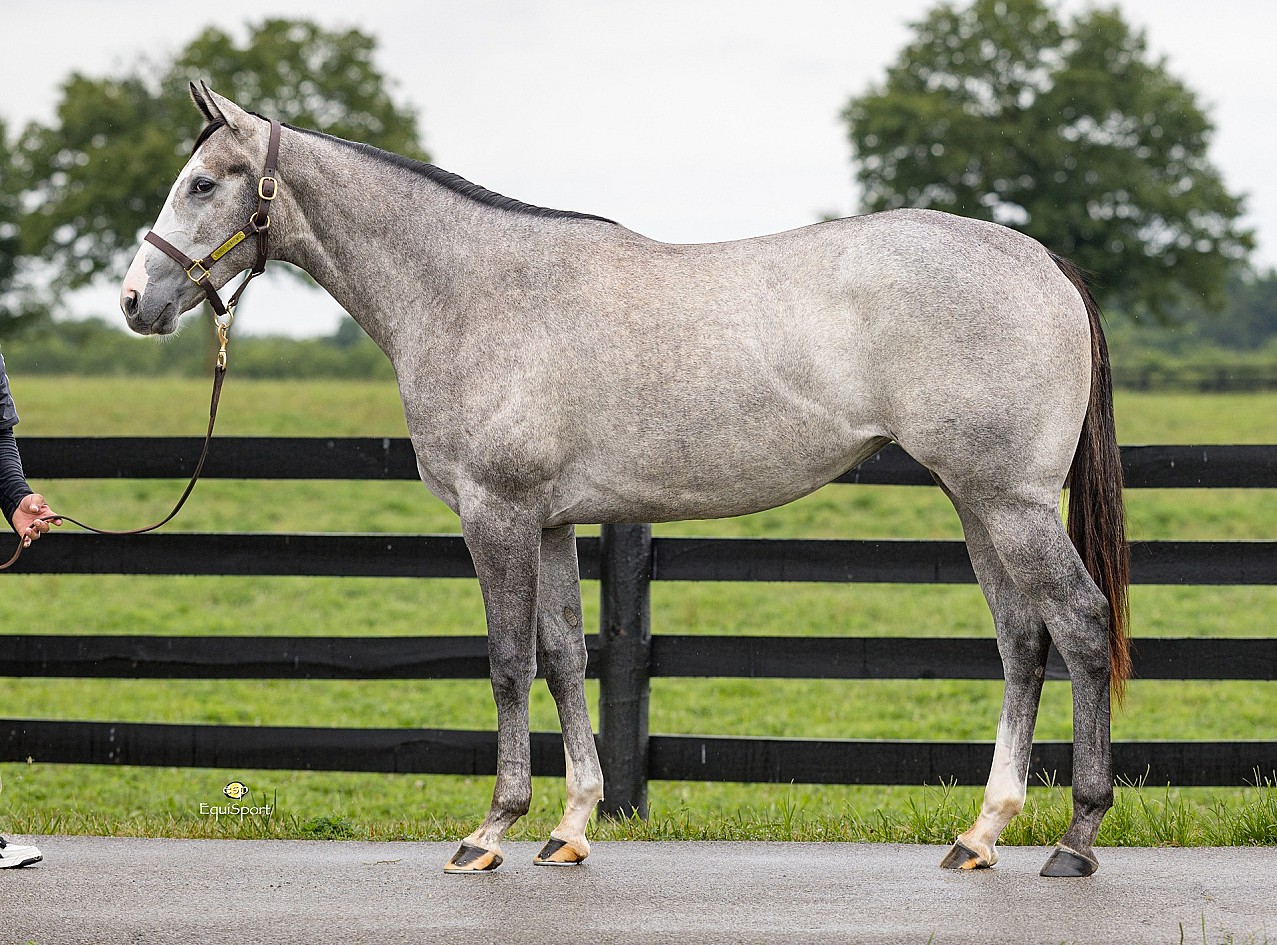 2023-Only By The Night