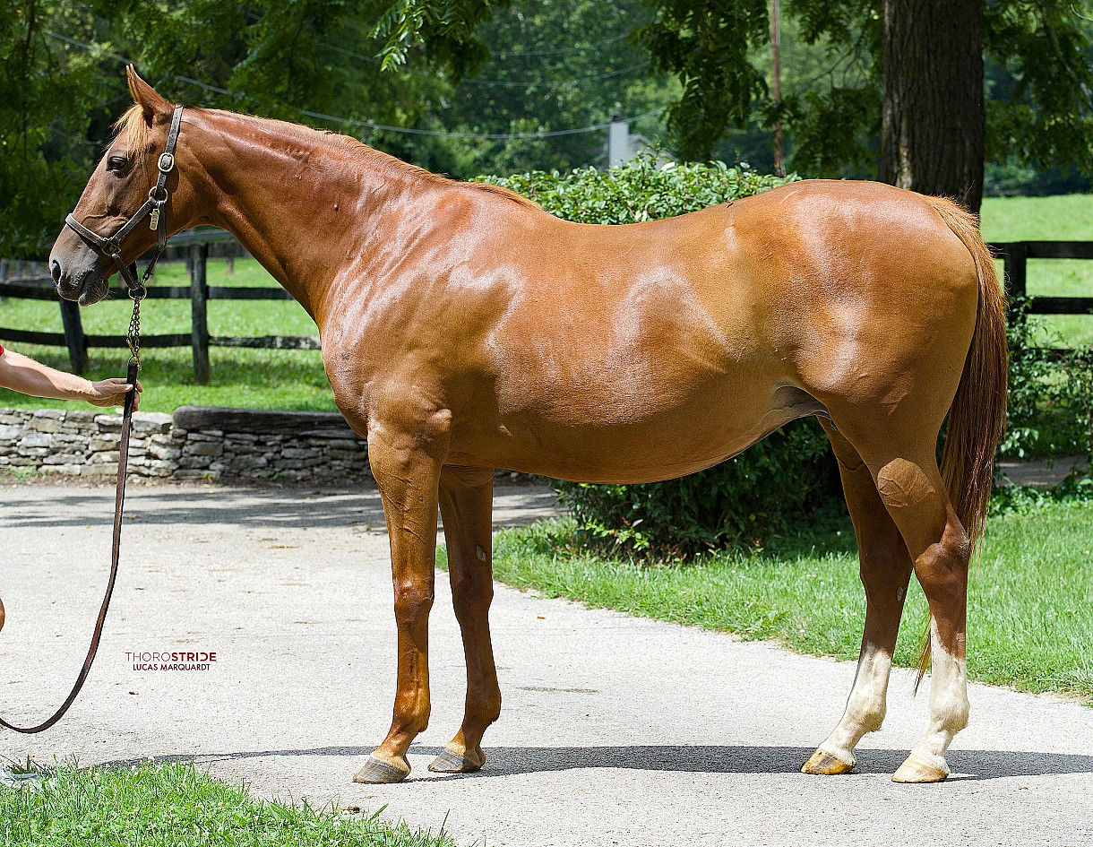 Grace That Abounds and 2023 c. by Goldencents
