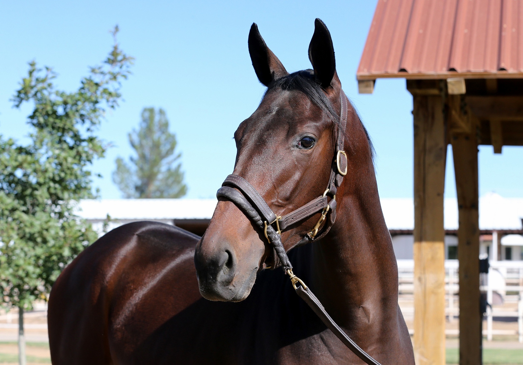 2024-Count Them Again