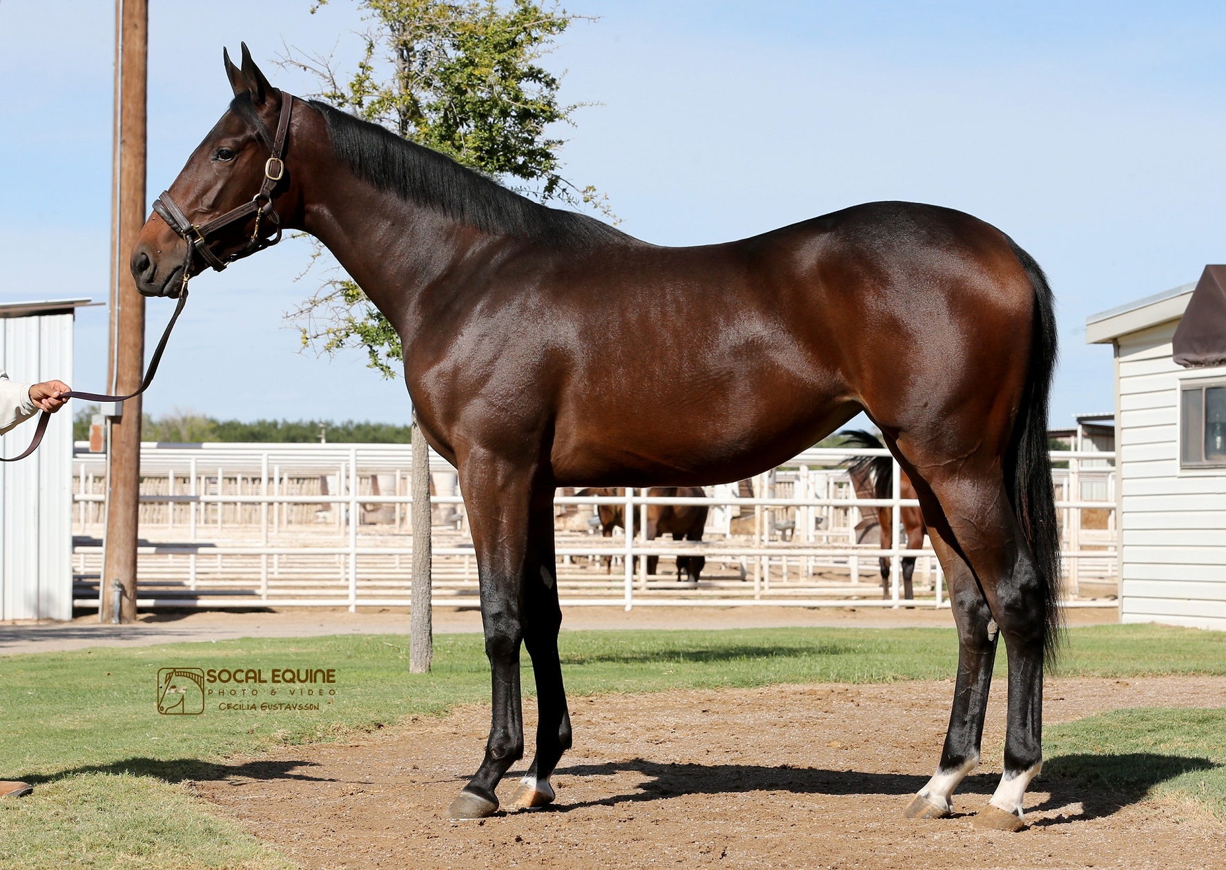 2024-Count Them Again