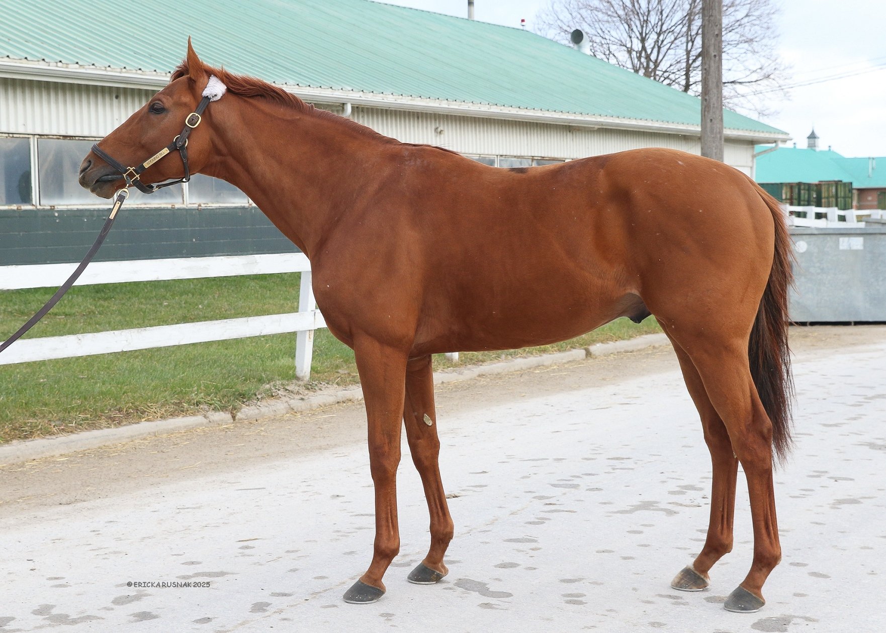 Wyoming Bill
