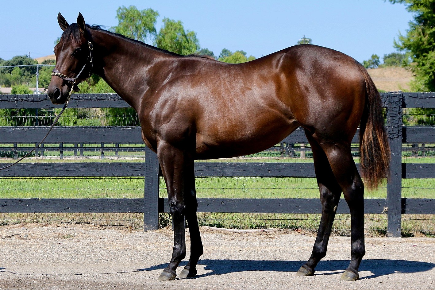 2022-The Innocent One